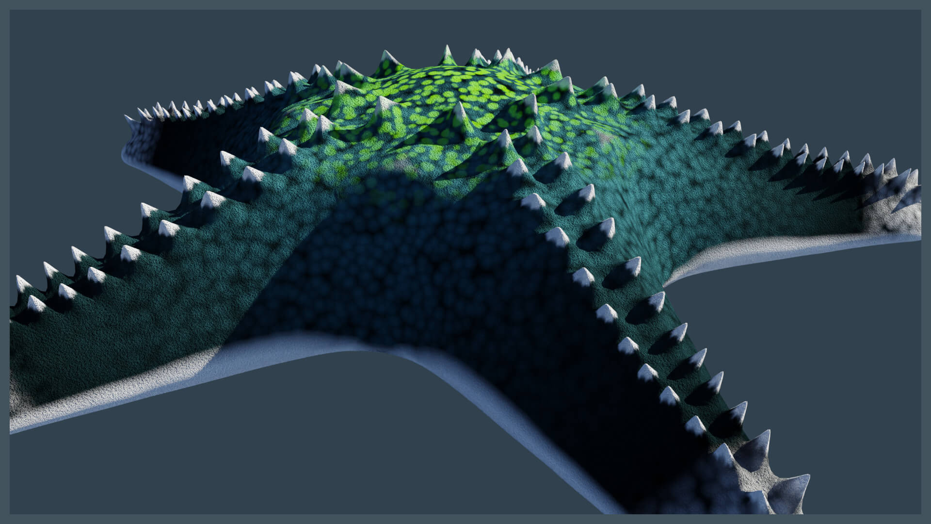 Starfish Pack - 3D Model by Pig Scales Studio