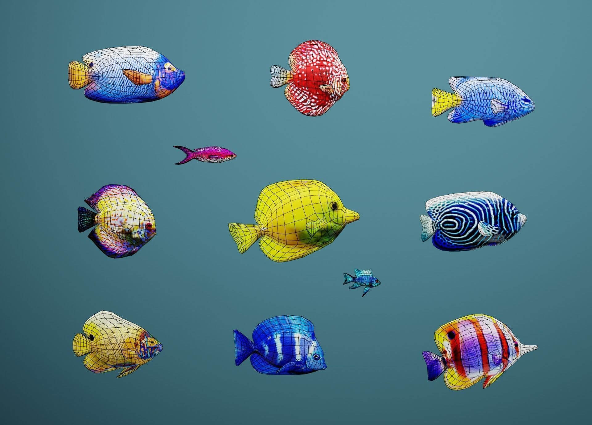 Tropical Fish Collection - 3D Model by Pig Scales Studio