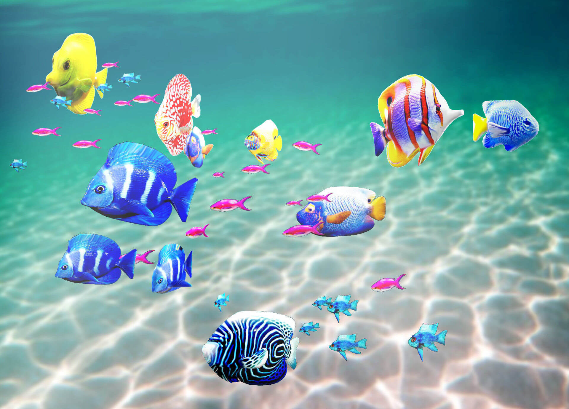 Tropical Fish Collection - 3D Model by Pig Scales Studio