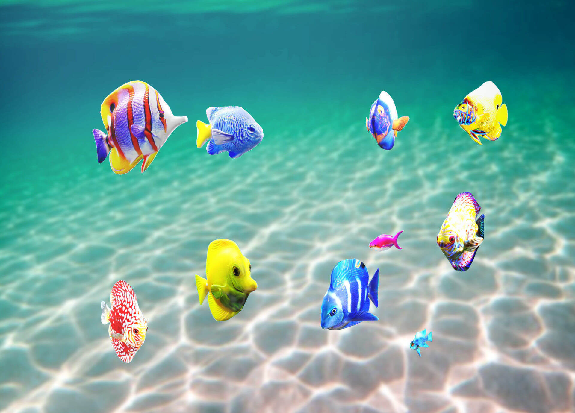 Tropical Fish Collection - 3D Model by Pig Scales Studio