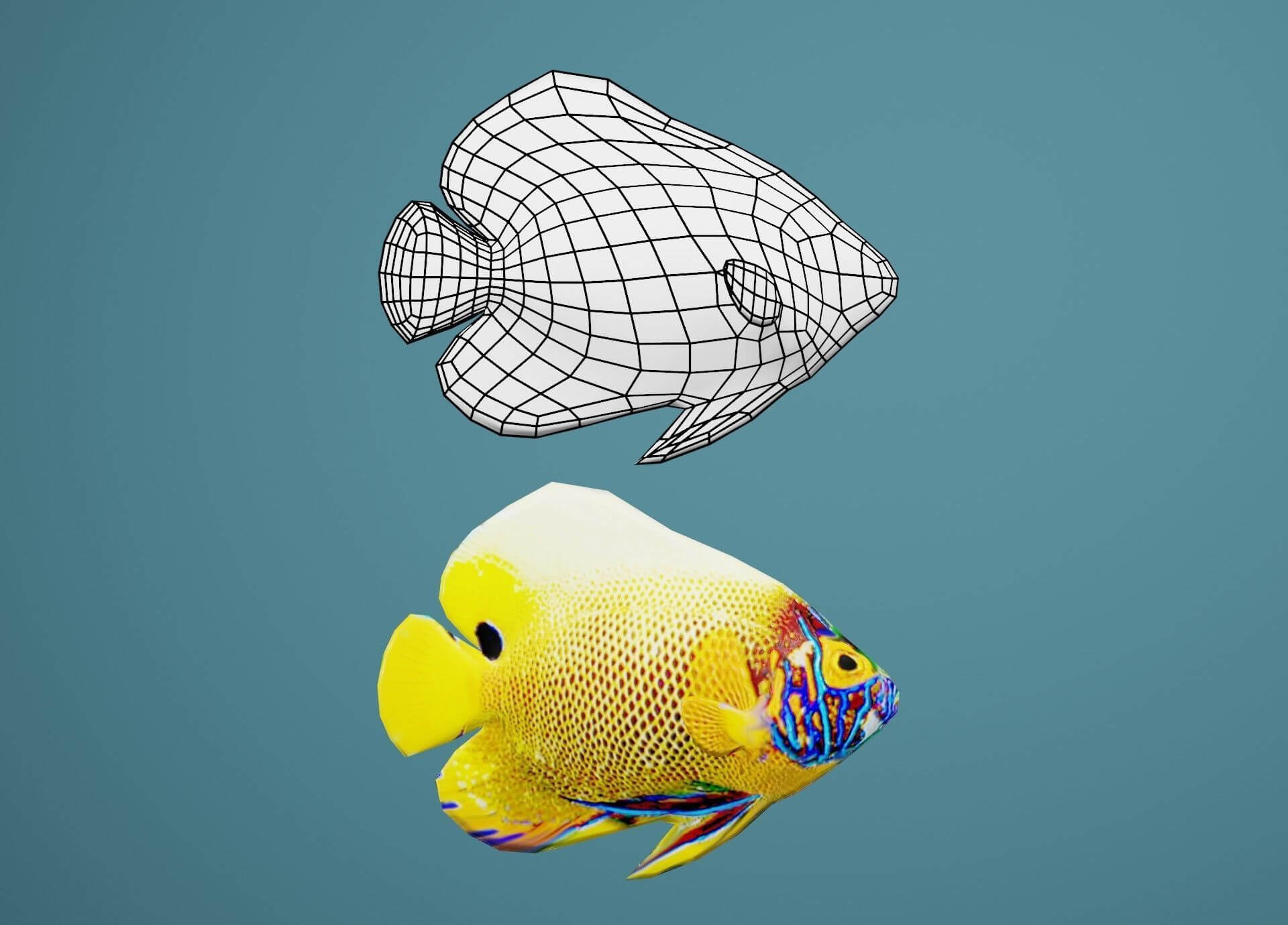 Tropical Fish Collection - 3D Model by Pig Scales Studio