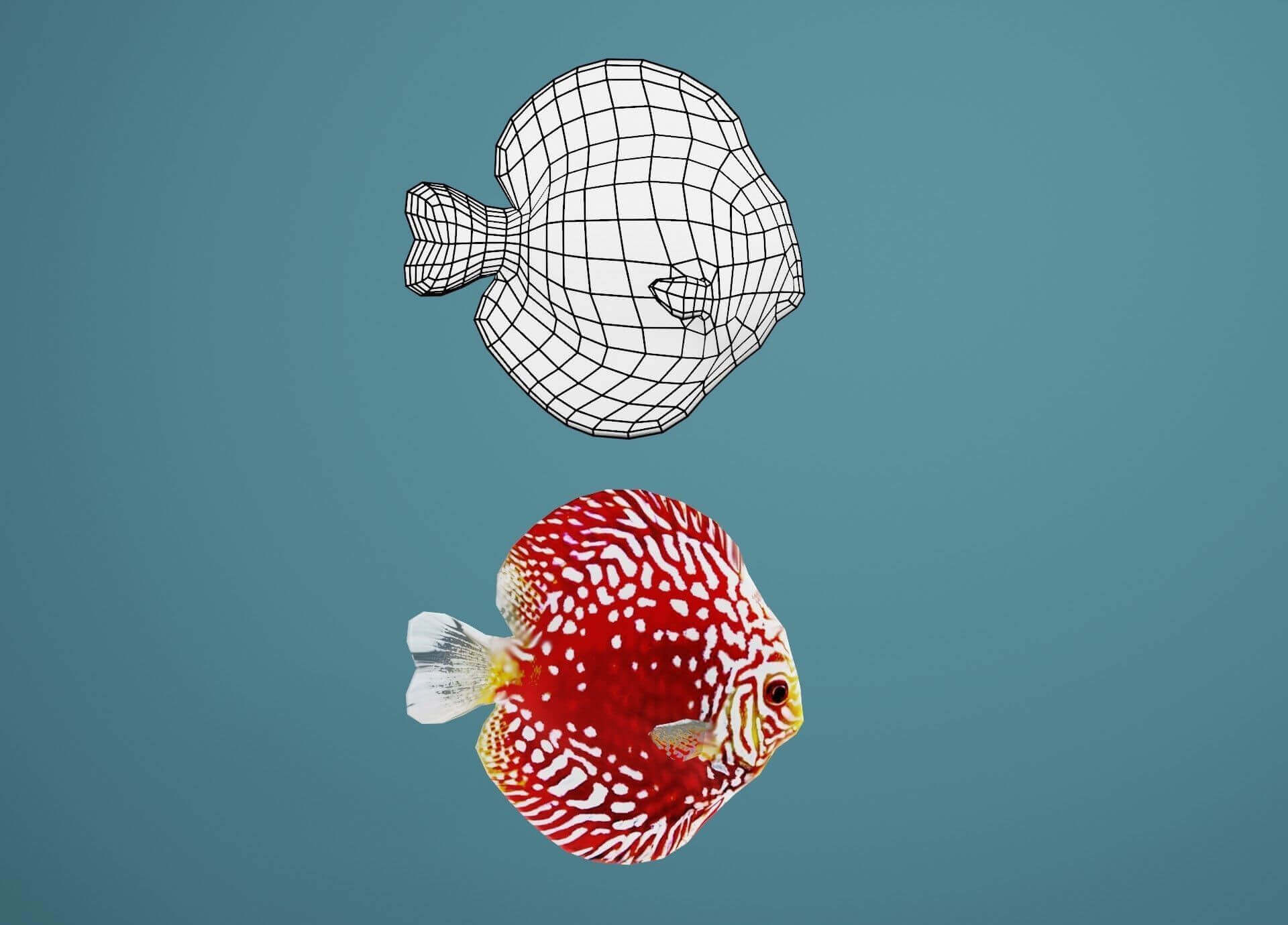 Tropical Fish Collection - 3D Model by Pig Scales Studio