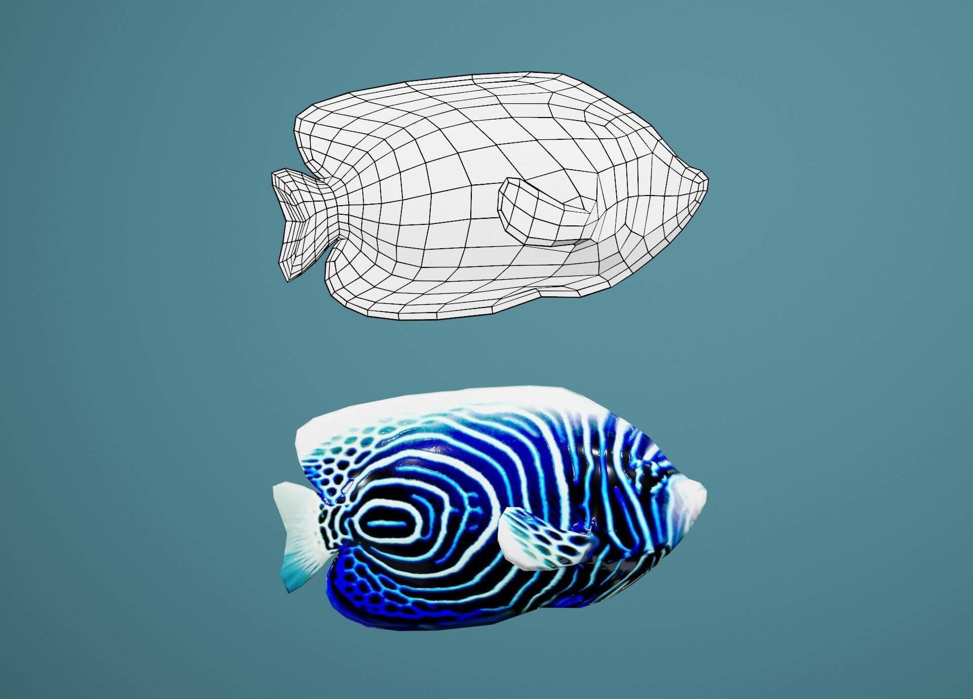 Tropical Fish Collection - 3D Model by Pig Scales Studio