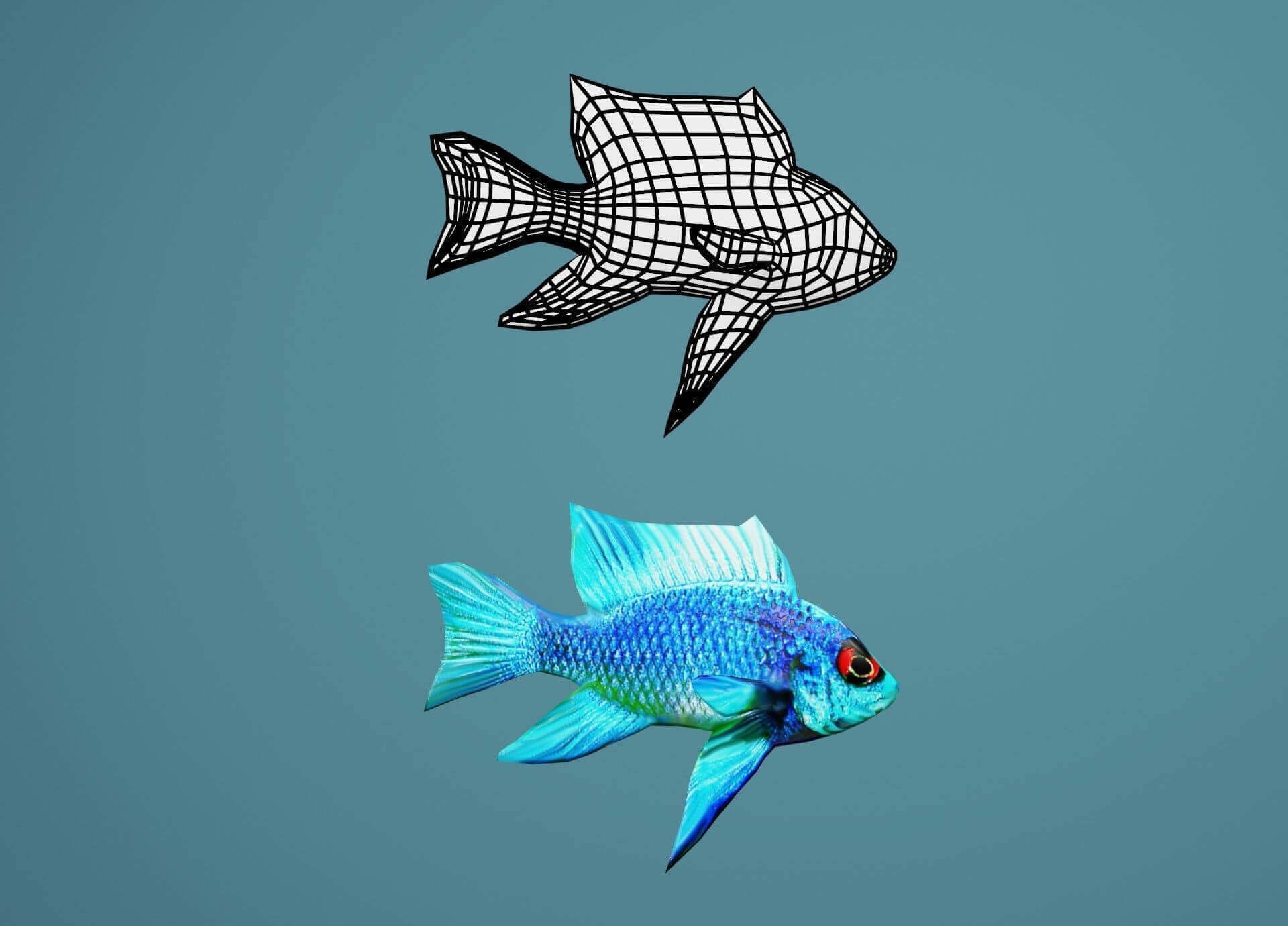 Tropical Fish Collection - 3D Model by Pig Scales Studio