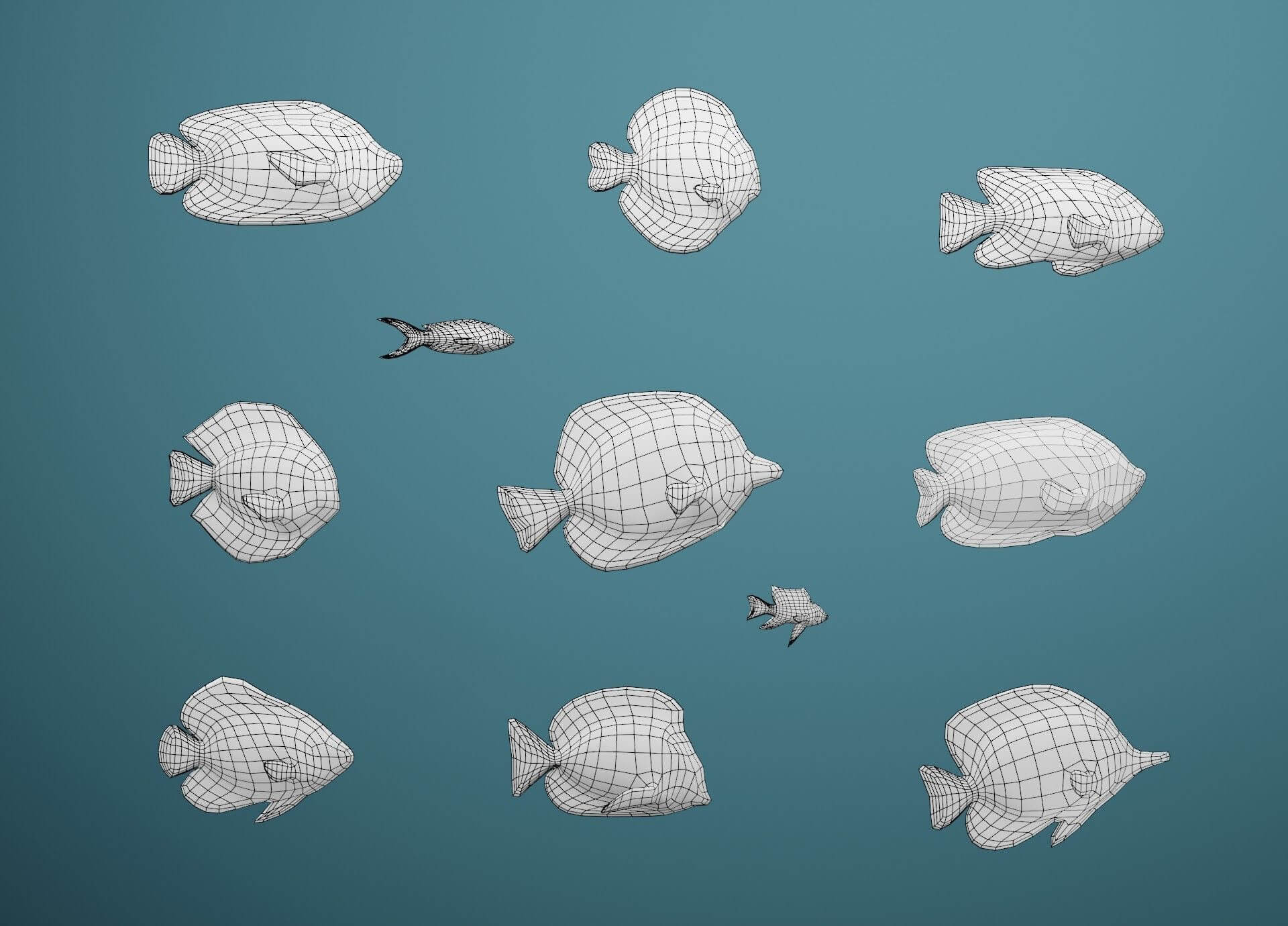 Tropical Fish Collection - 3D Model by Pig Scales Studio