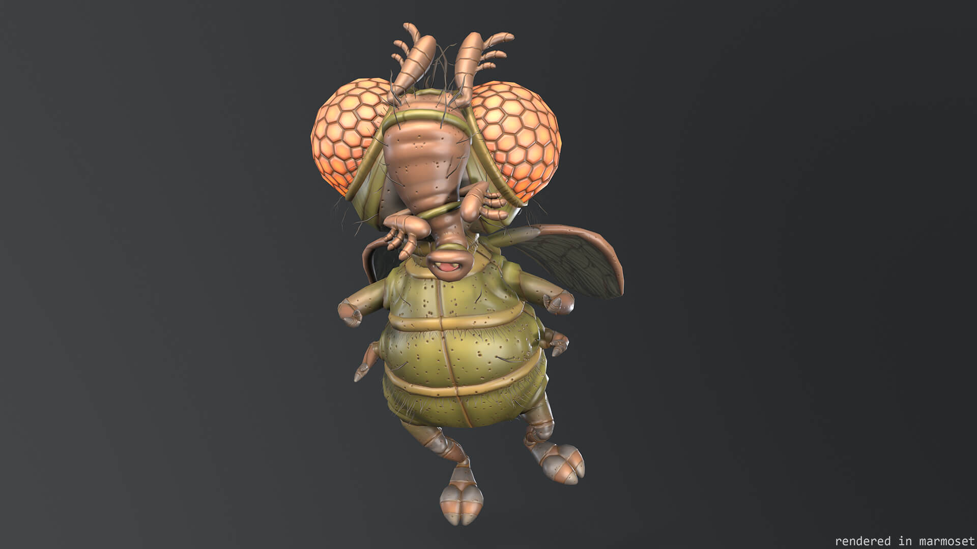 Flying Cartoon Fly - 3D Model by pink_penguin