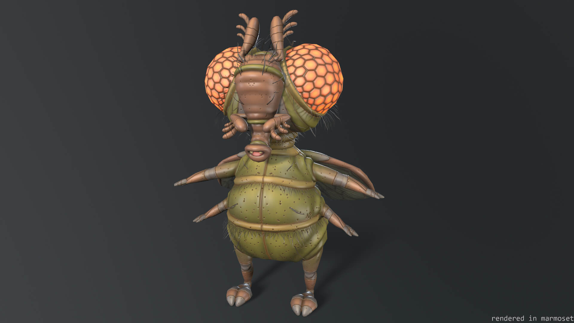 Flying Cartoon Fly - 3D Model by pink_penguin