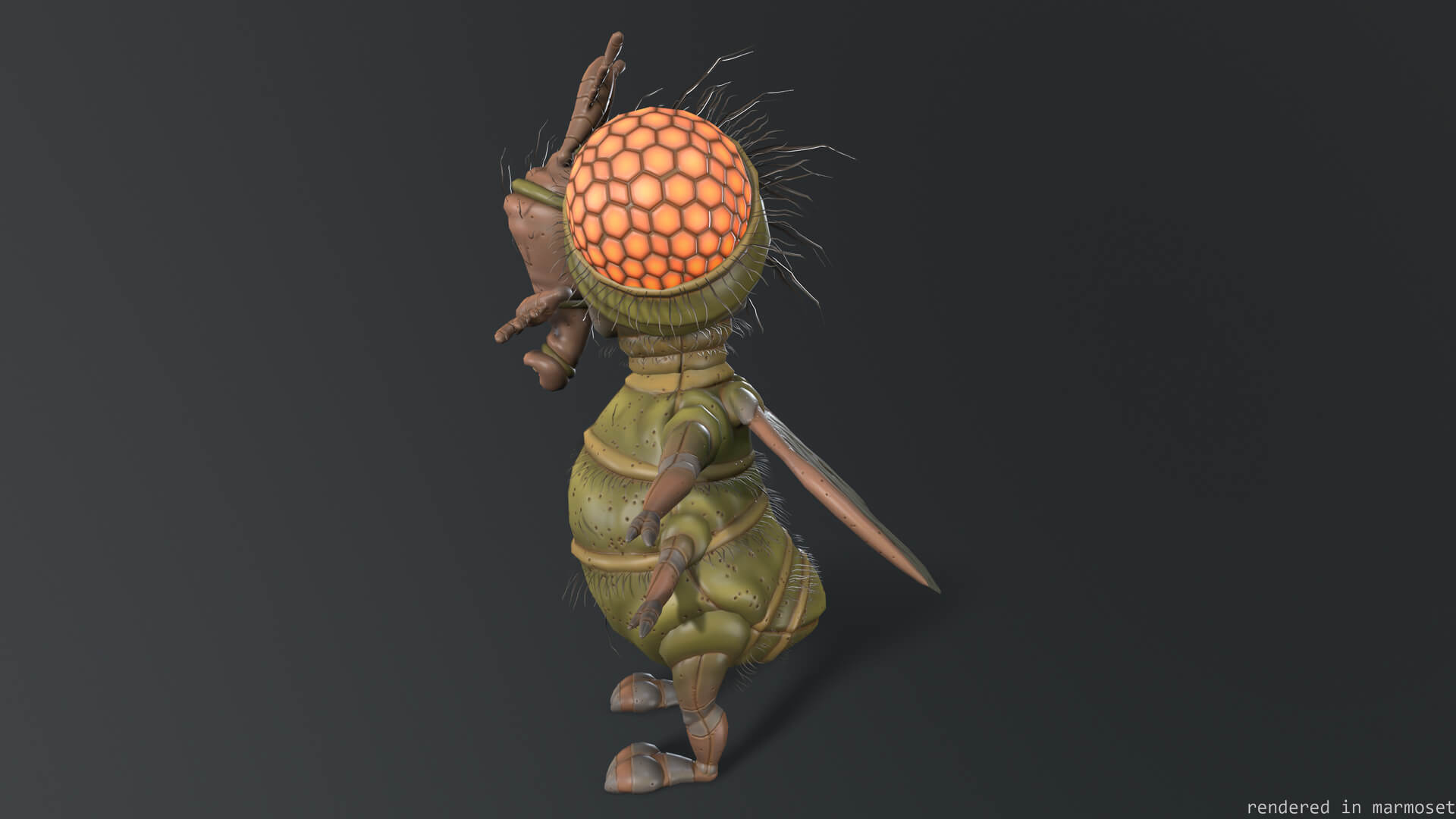 Flying Cartoon Fly - 3D Model by pink_penguin