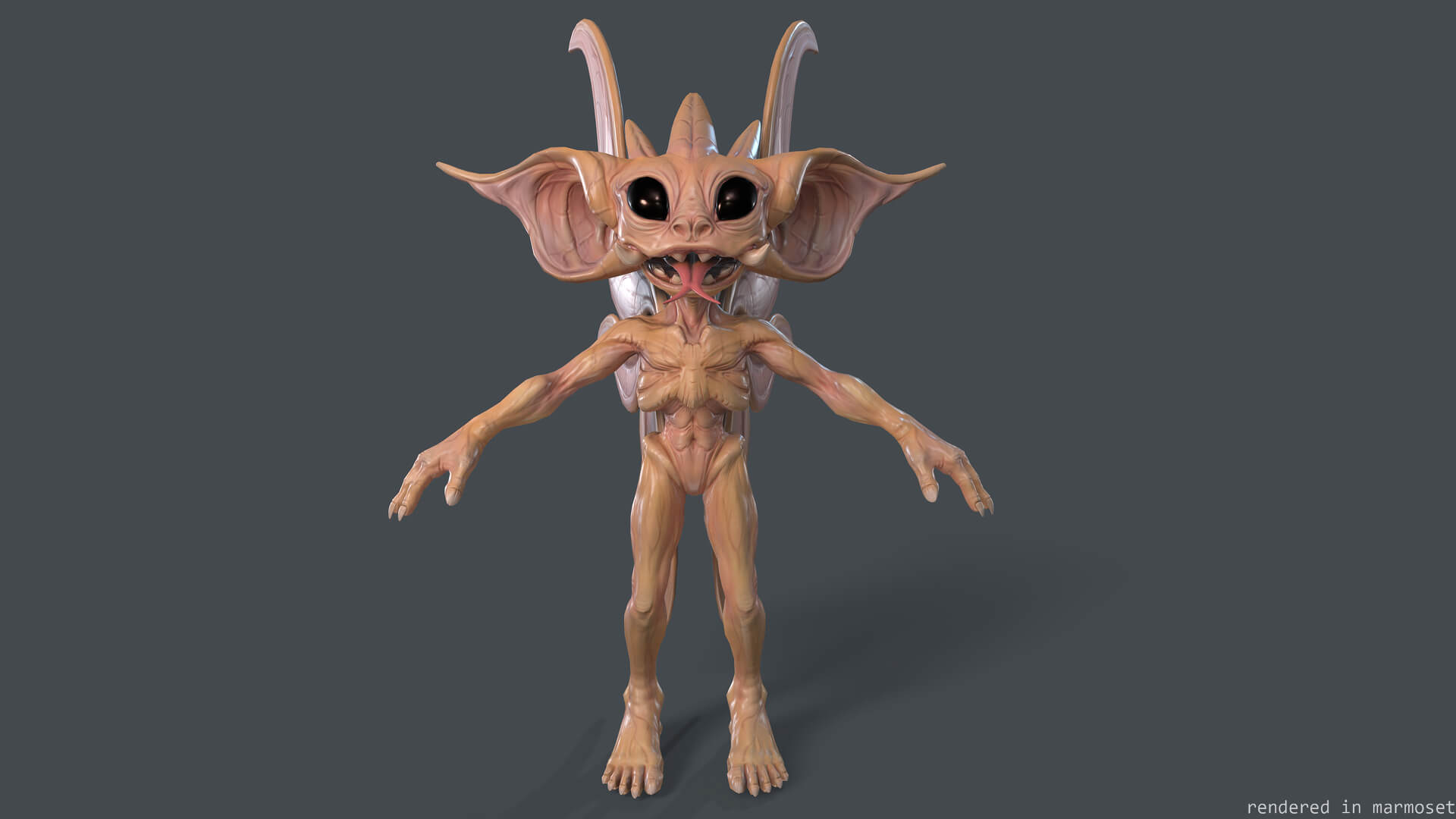 Pixie Flying Animated 3d Model By Pinkpenguin 3361