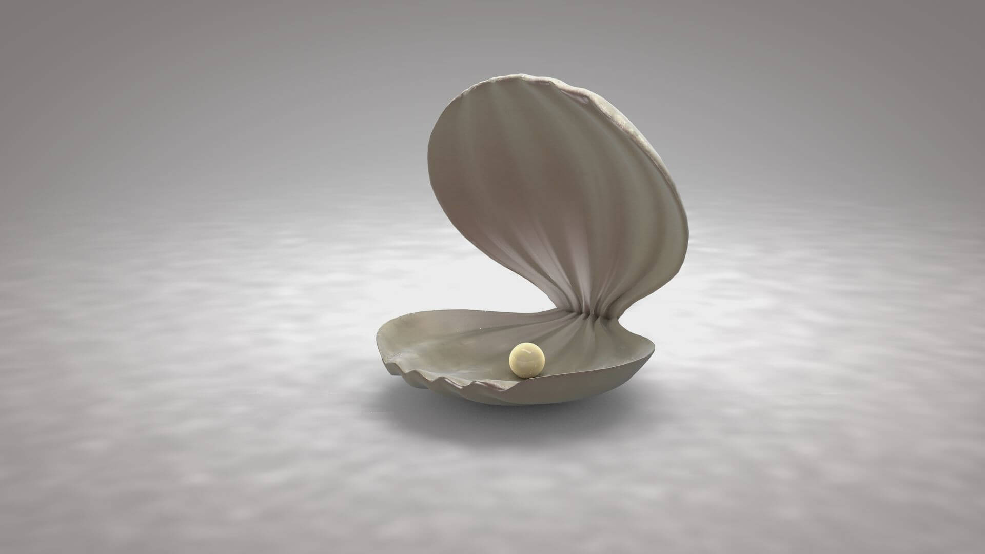 Clamshell with a Pearl - 3D Model by pinnaclecgarts