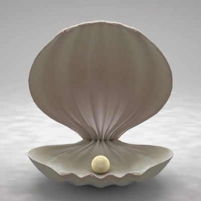Clamshell with a Pearl - 3D Model by pinnaclecgarts