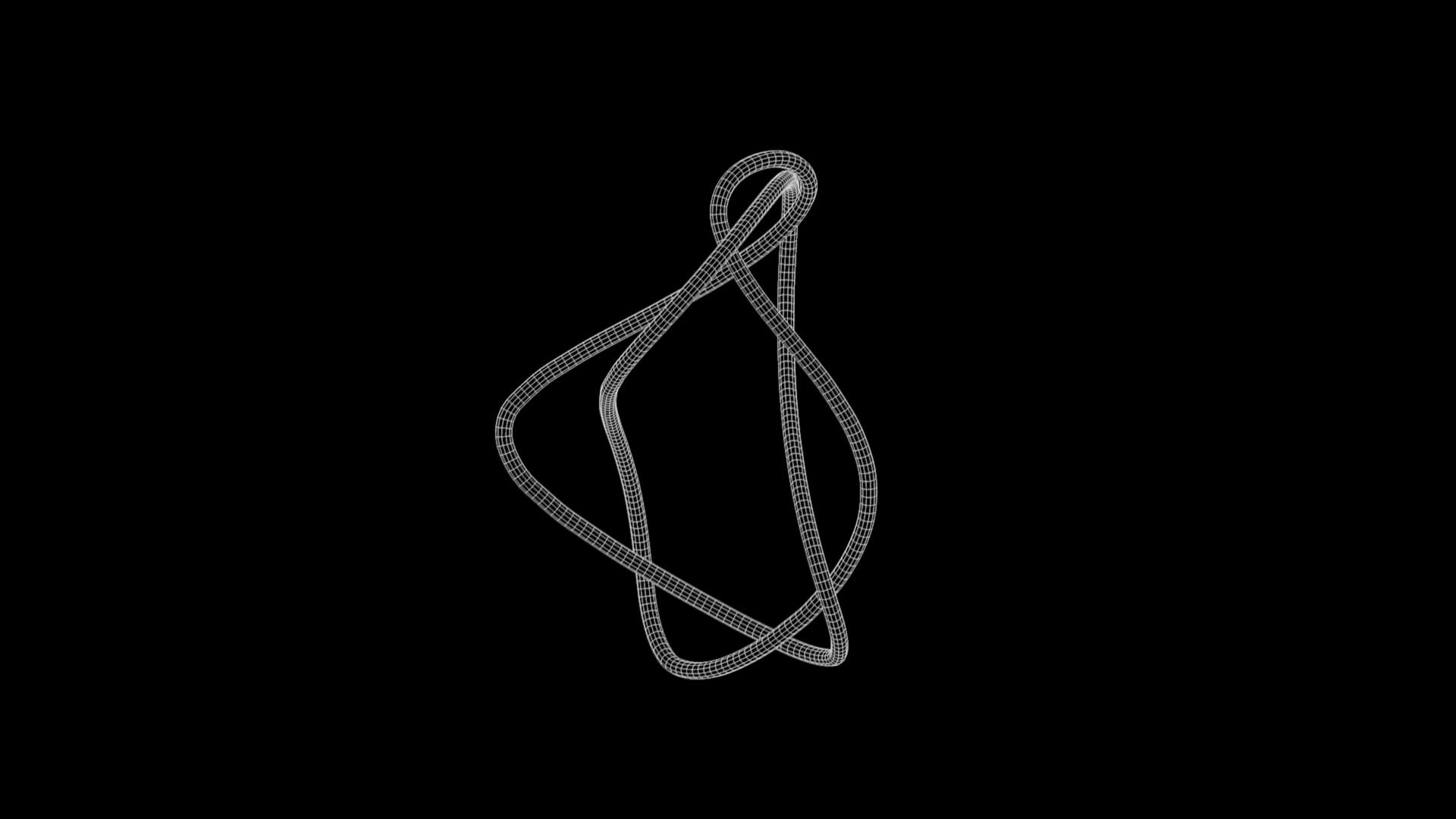 Knot 10 - 3D Model by pinnaclecgarts