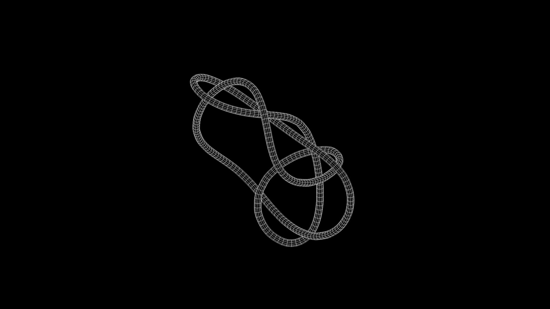 Knot 14 - 3D Model by pinnaclecgarts
