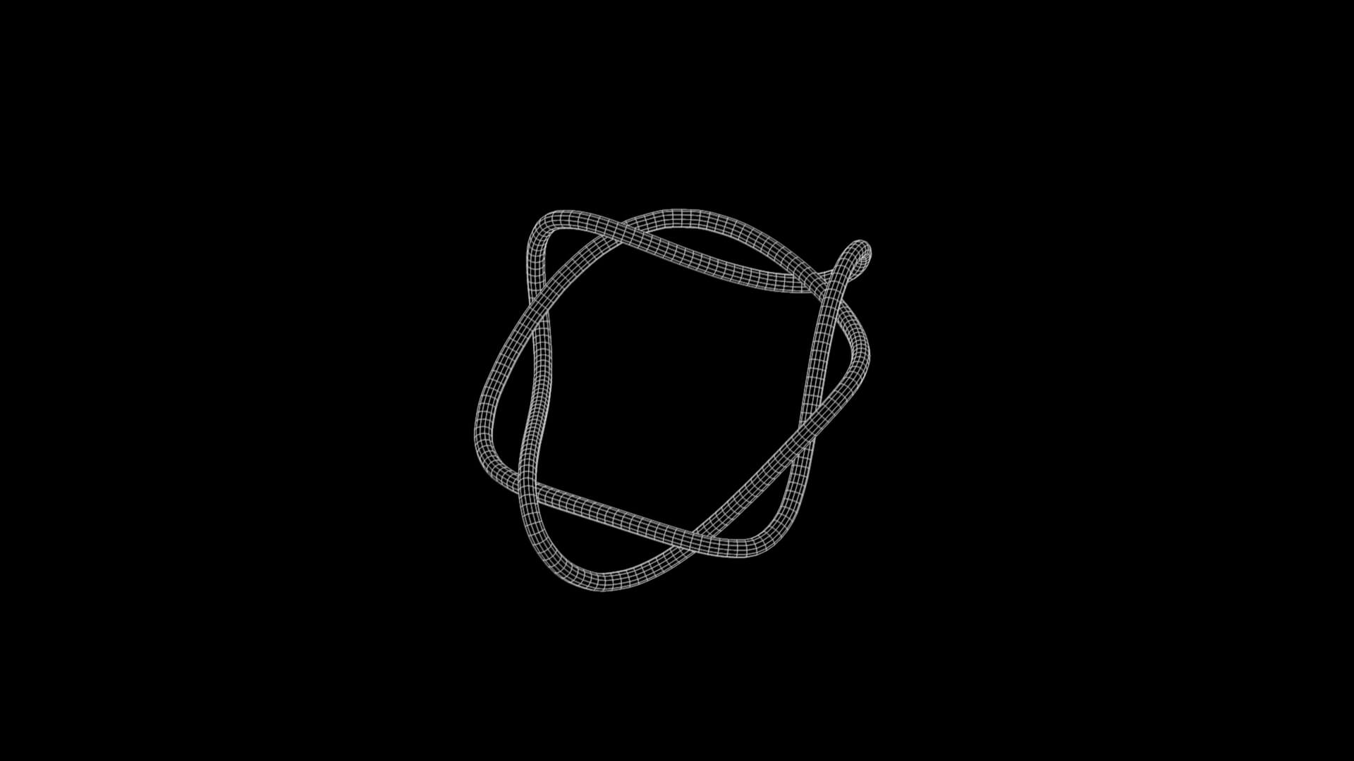 Knot 8 - 3D Model by pinnaclecgarts