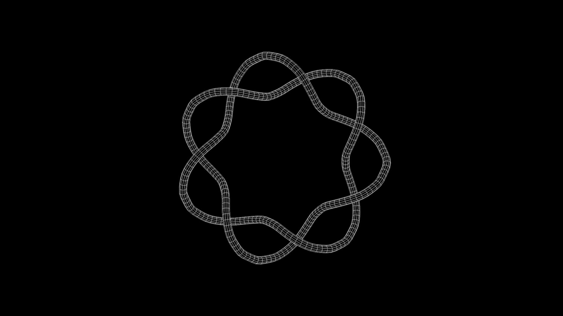 Torus Knot