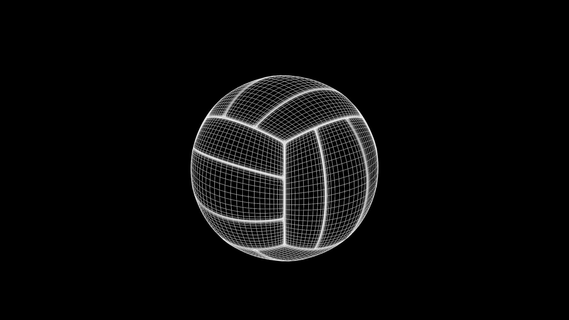 Volleyball - 3D Model by pinnaclecgarts
