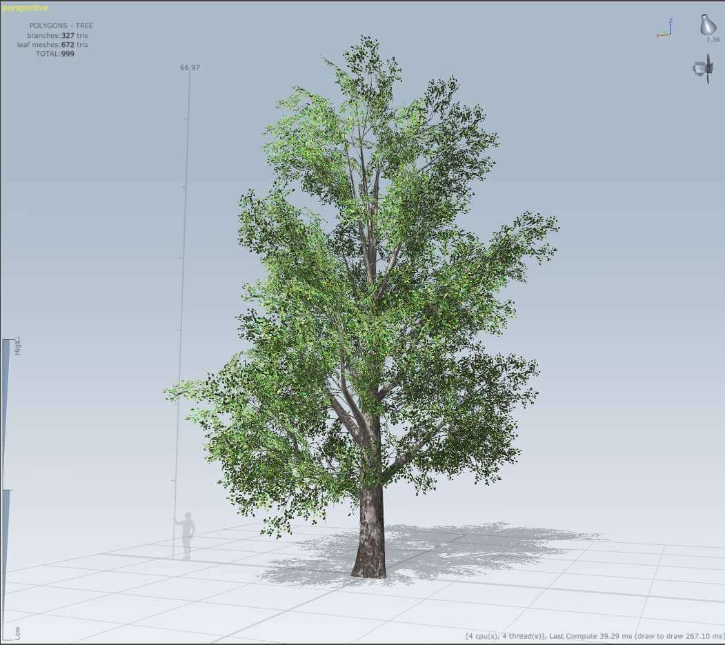 Broad Leaf Tree - 3D Model by pixels90211