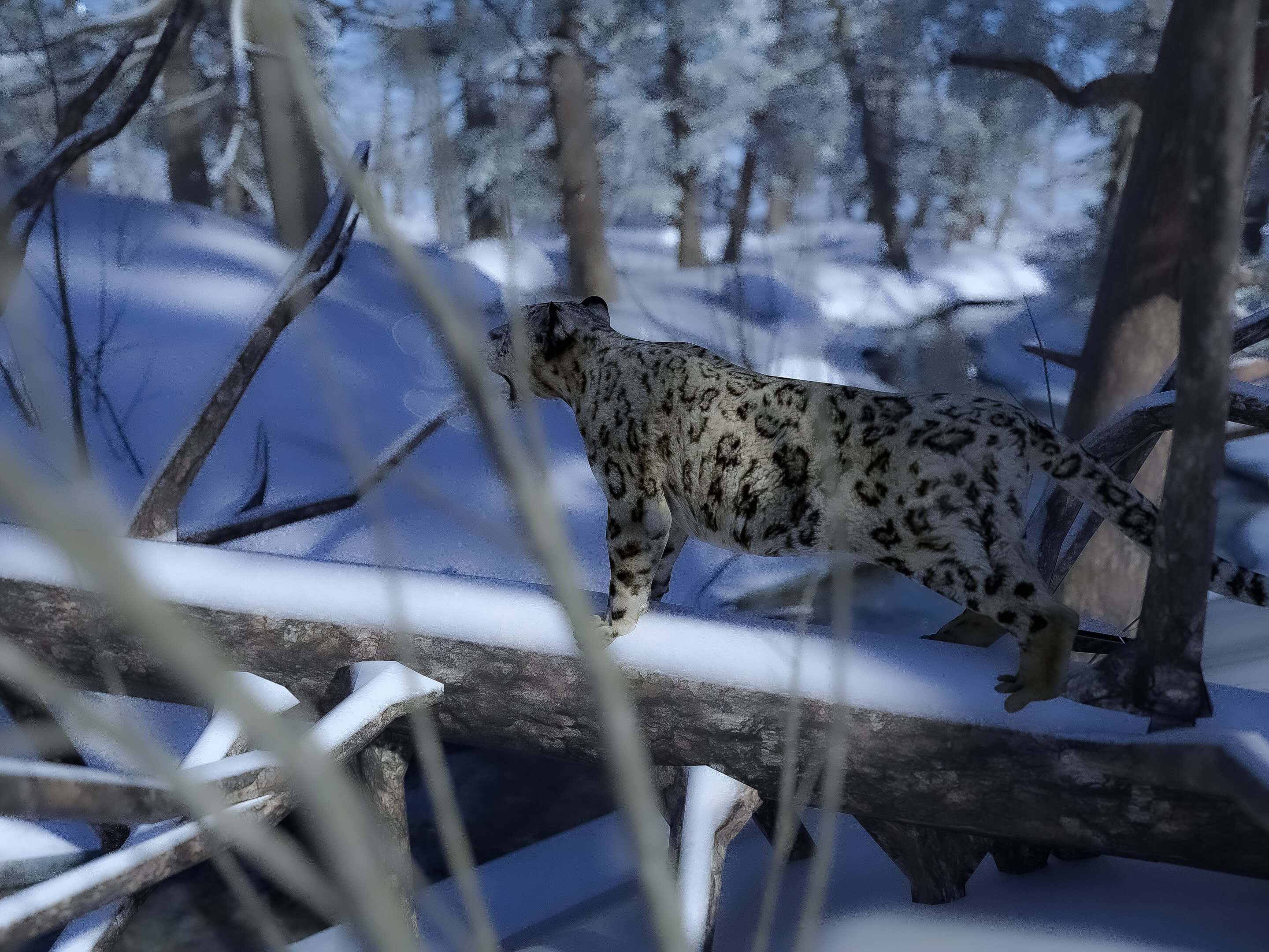 Snow Leopard 3D Render, Digital Art by Pizzaundbier