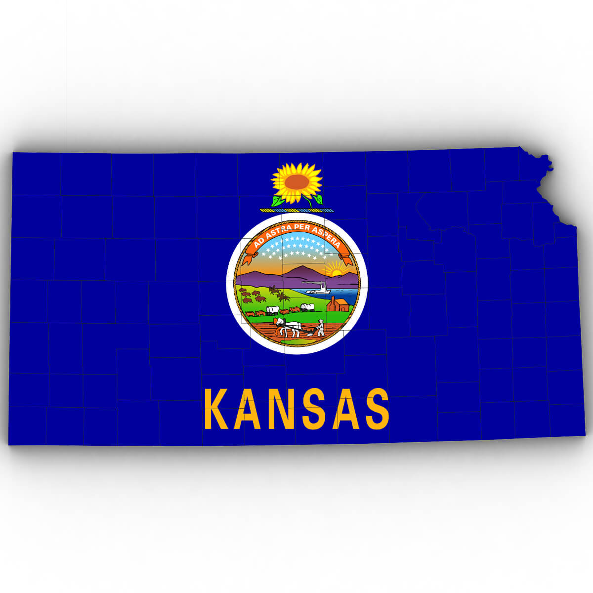 Kansas Political Map - 3D Model by Plutonius3d
