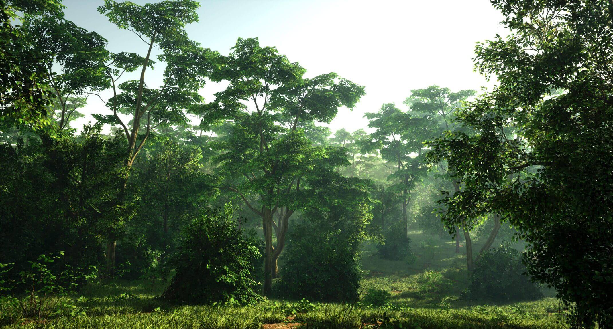 Morning in Forest 3D Render, Digital Art by polyasset3d