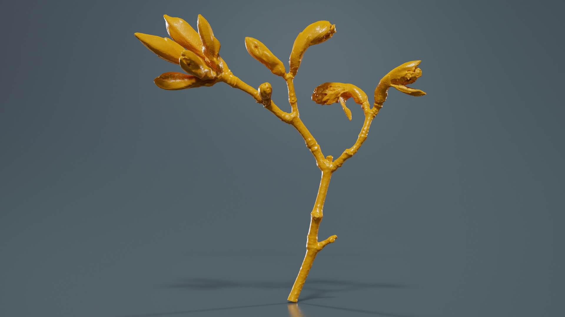Acer Opalus Mill Italian Maple Sapindaceae Sprout - 3D Model by ...