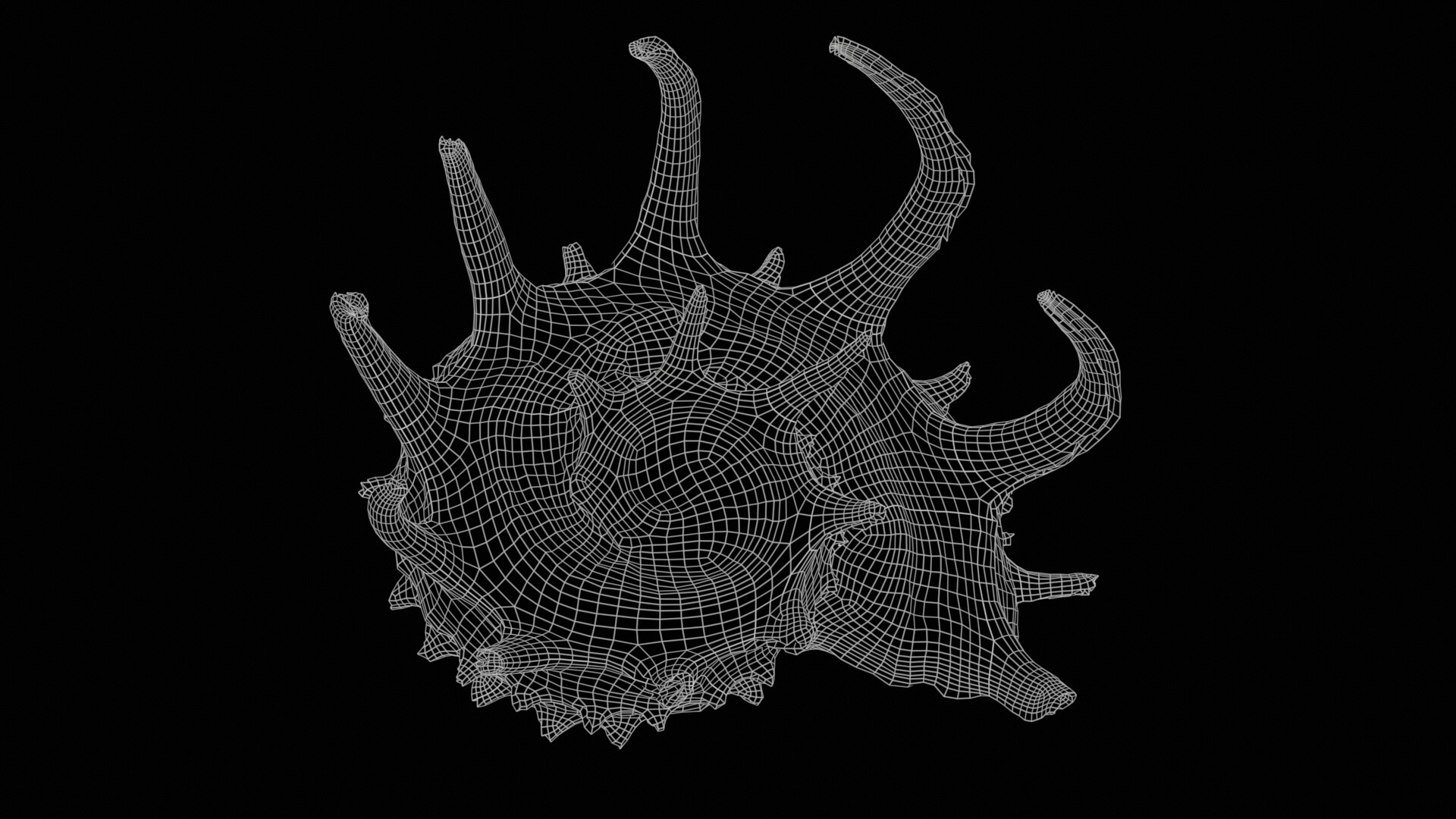 Angaria Delphinus Melanacantha - 3D Model by Polygonal Miniatures