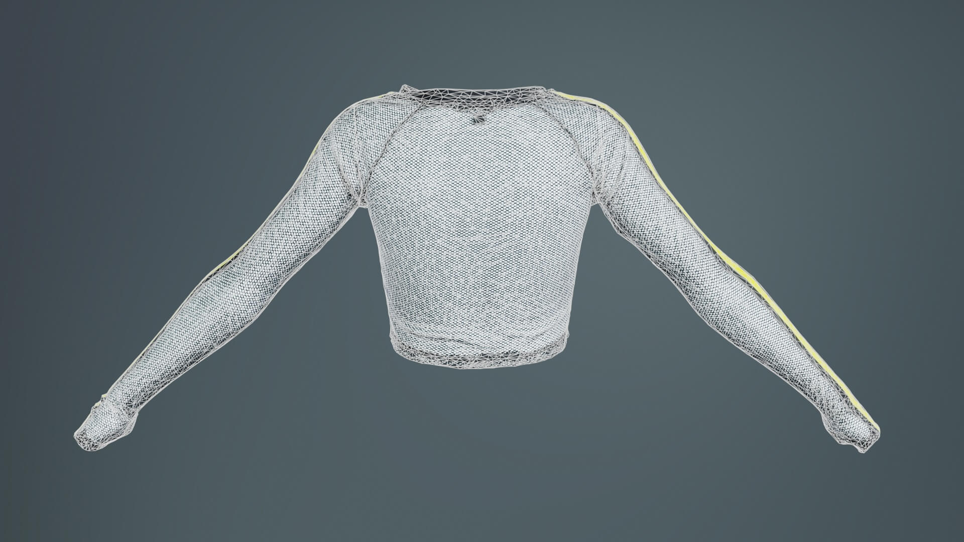 Arm Stripes Mesh Top - 3D Model by Polygonal Miniatures