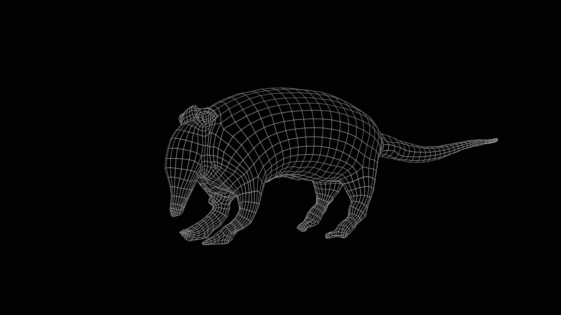 Armadillo Cingulata Xenarthra - 3D Model by Polygonal Miniatures