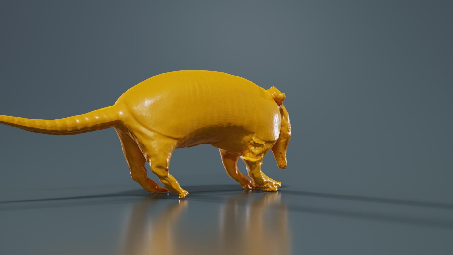 Armadillo Cingulata Xenarthra - 3D Model by Polygonal Miniatures