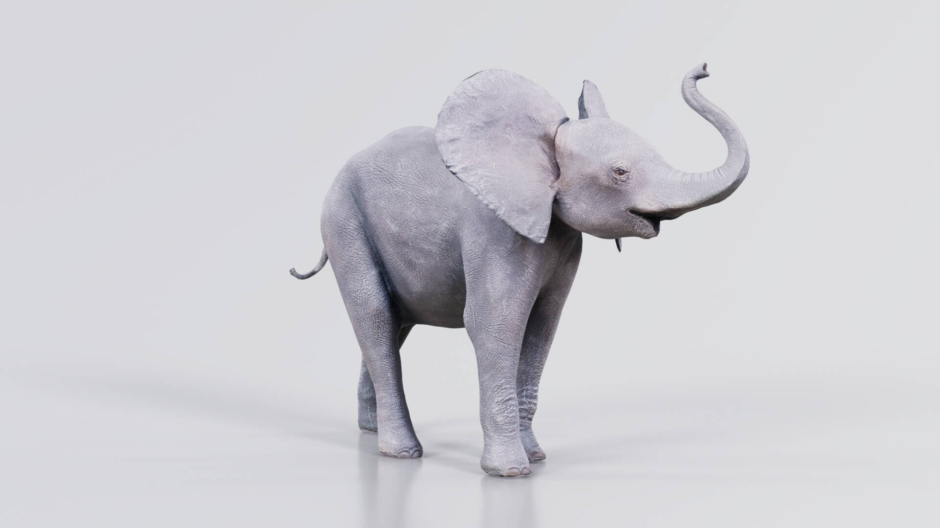 Baby Elephant - 3D Model by Polygonal Miniatures