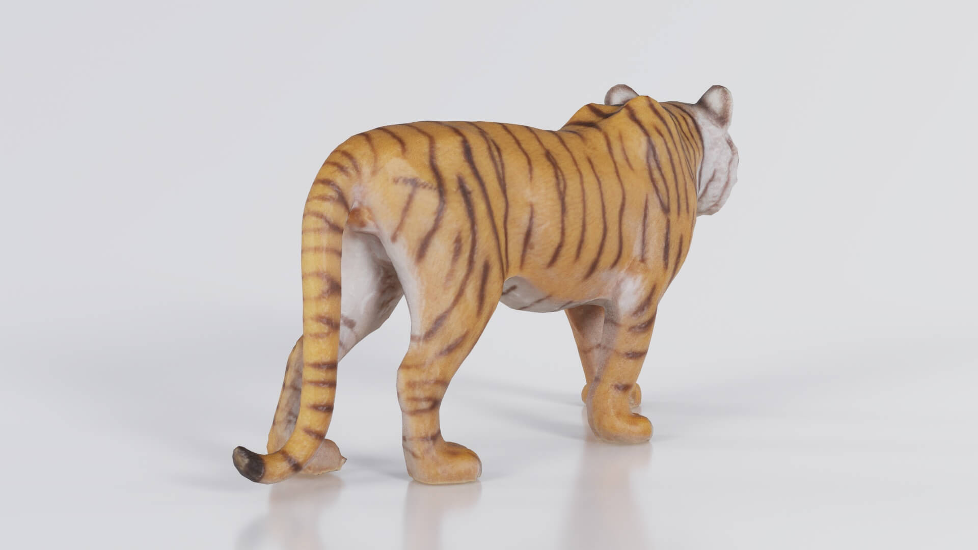 Bengal Tiger - 3D Model by Polygonal Miniatures