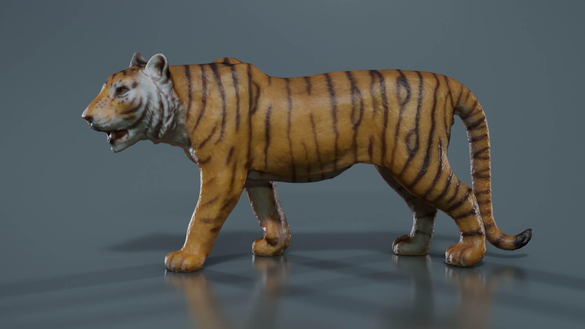 Bengal Tiger - 3D Model by Polygonal Miniatures