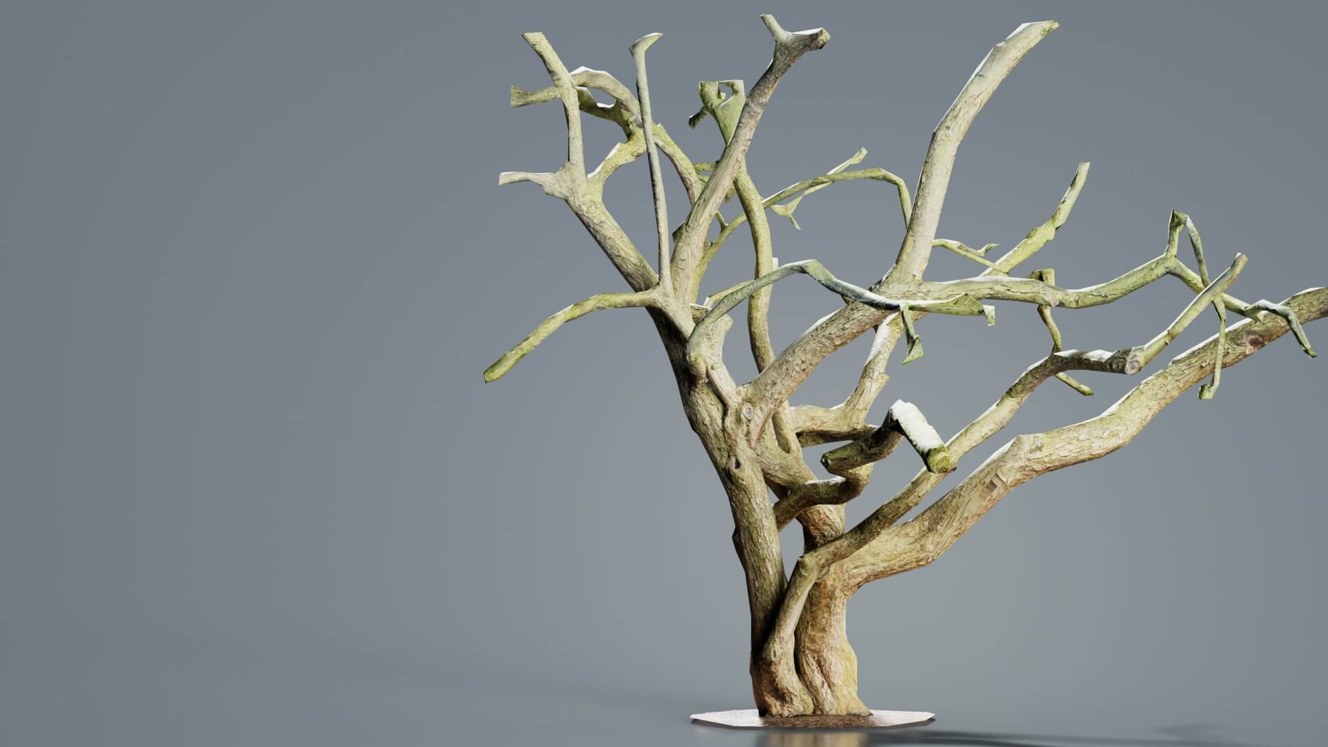 Big Tree Trunk - 3D Model by Polygonal Miniatures