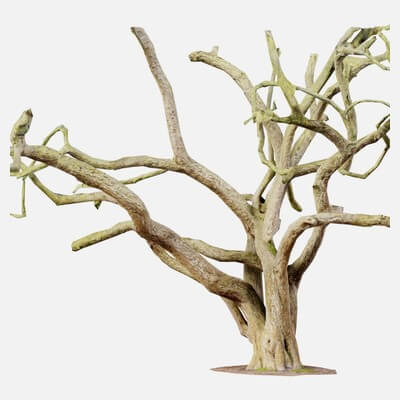 Big Tree Trunk - 3D Model by Polygonal Miniatures