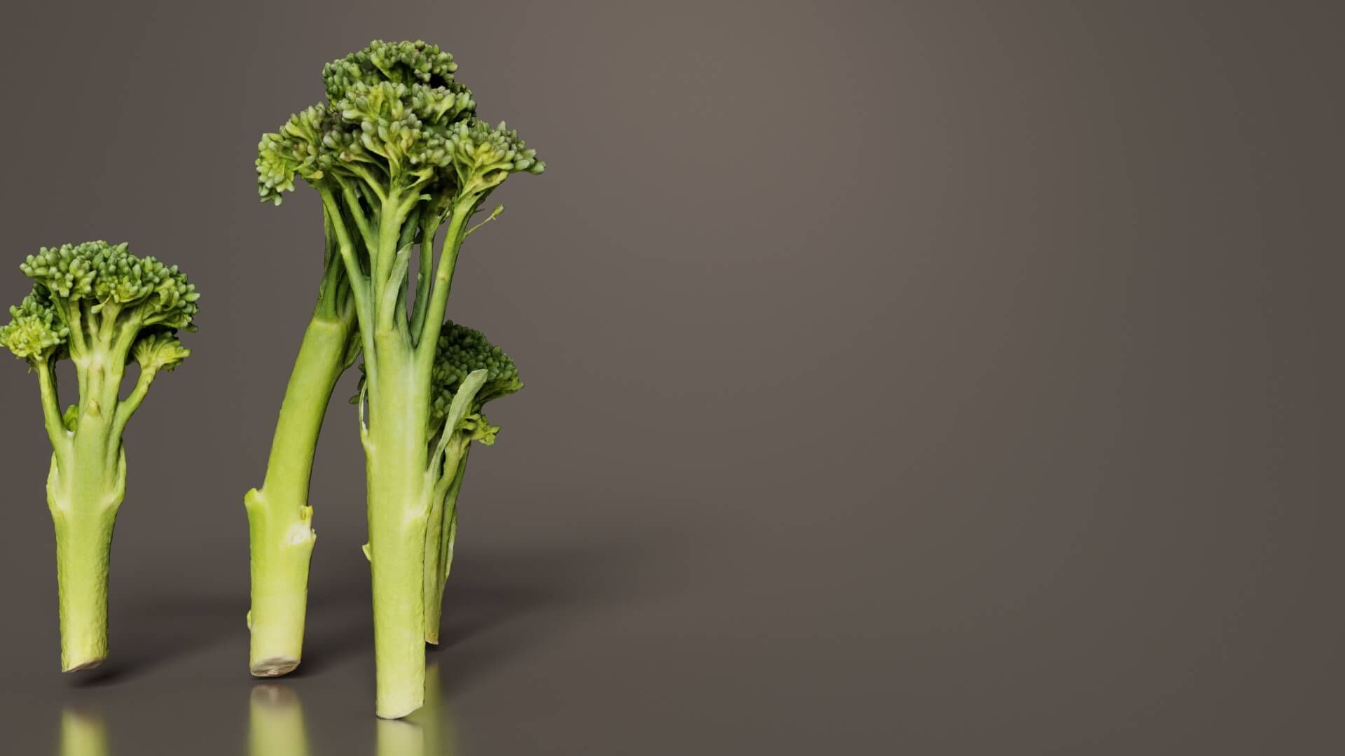 Bimi - 3D Model by Polygonal Miniatures