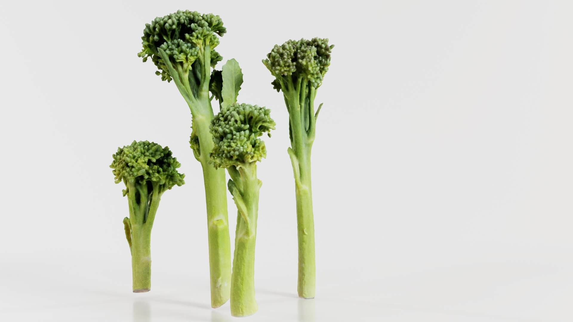 Bimi - 3D Model by Polygonal Miniatures