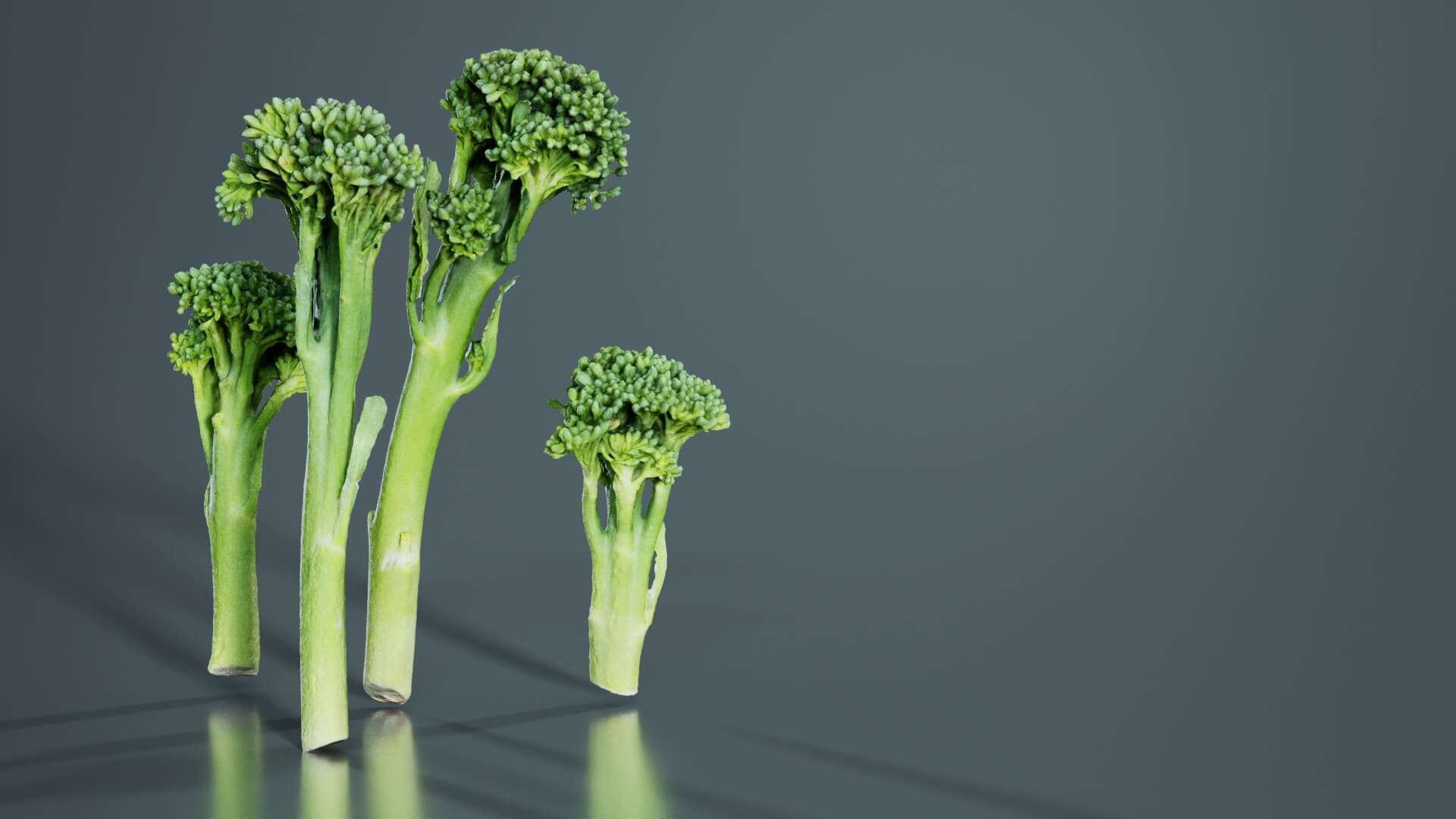 Bimi - 3D Model by Polygonal Miniatures