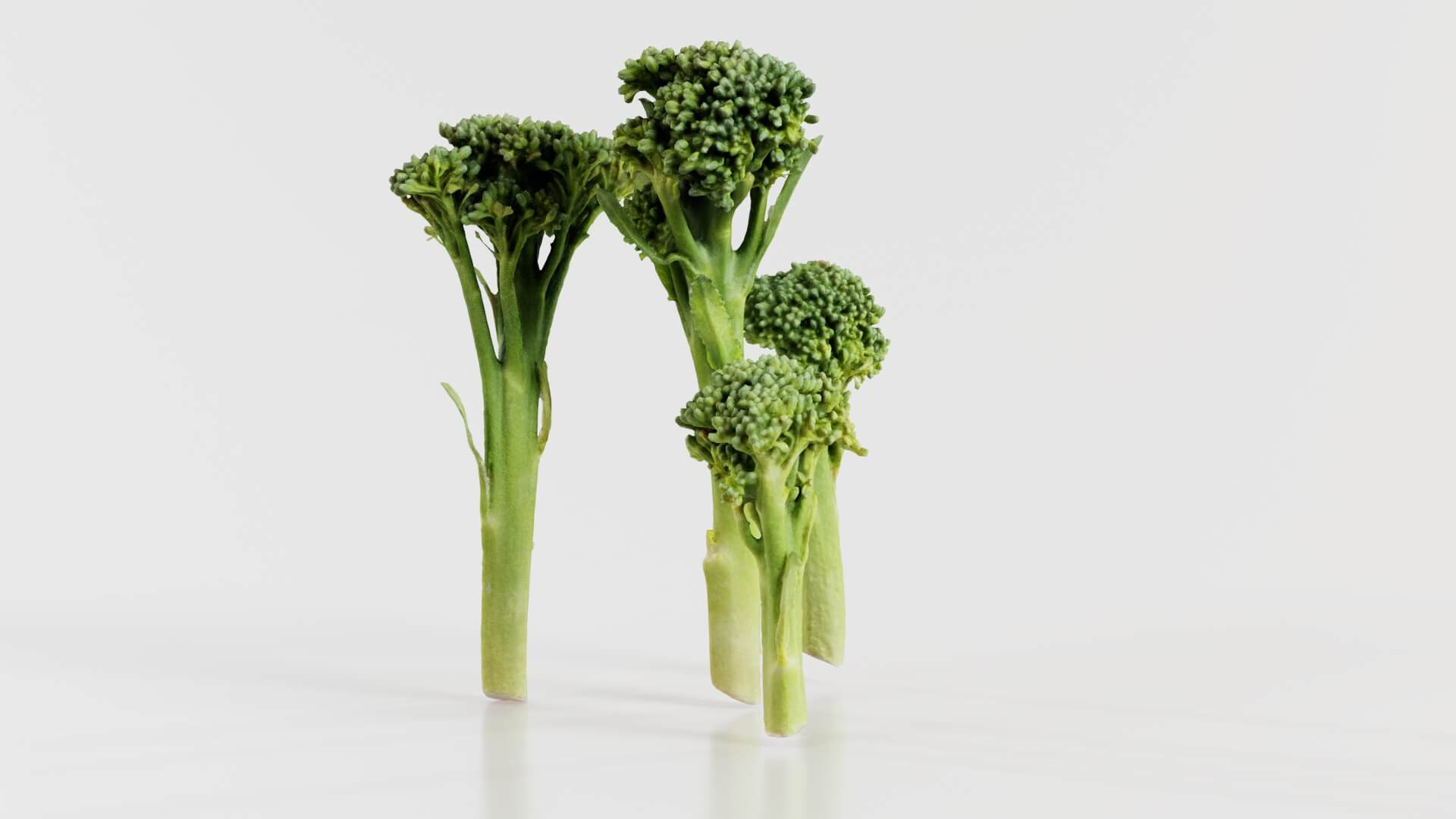 Bimi - 3D Model by Polygonal Miniatures