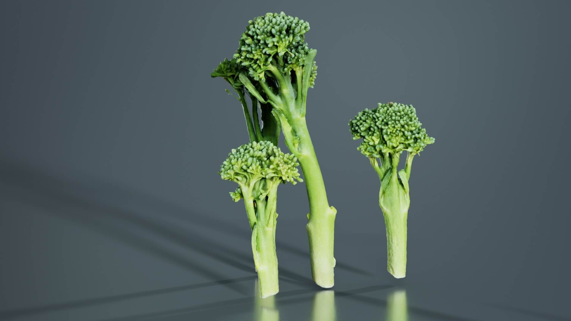 Bimi - 3D Model by Polygonal Miniatures