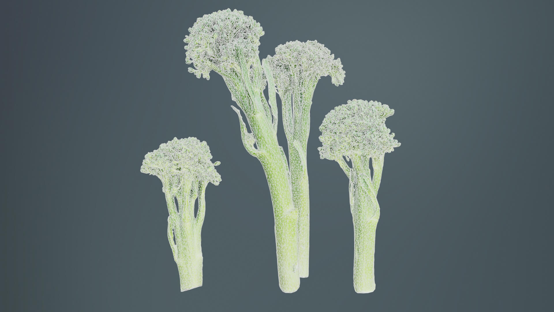 Bimi - 3D Model by Polygonal Miniatures