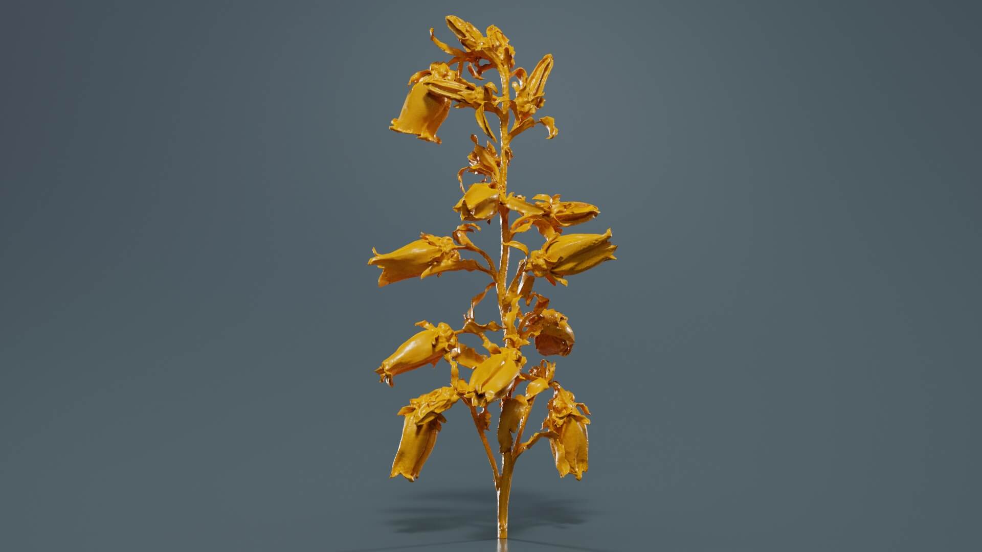 Canterbury Bellflower Campanula Medium - 3D Model by Polygonal Miniatures
