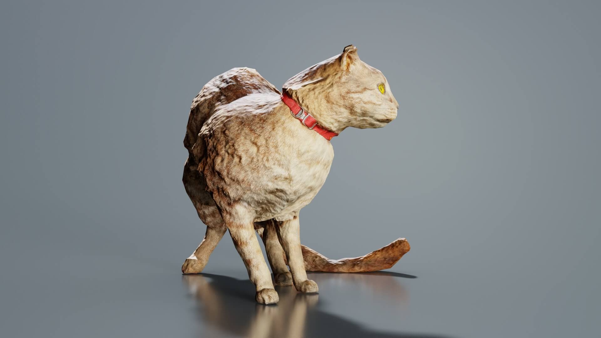 Domestic Cat - 3D Model by Polygonal Miniatures