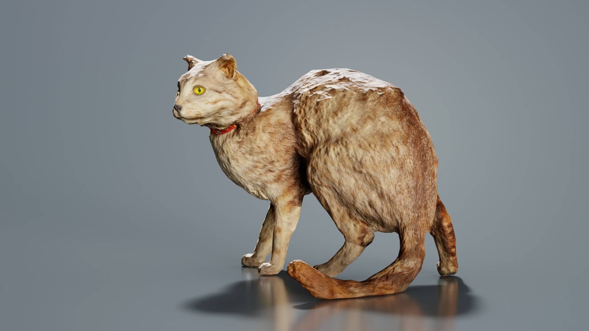 Domestic Cat - 3D Model by Polygonal Miniatures