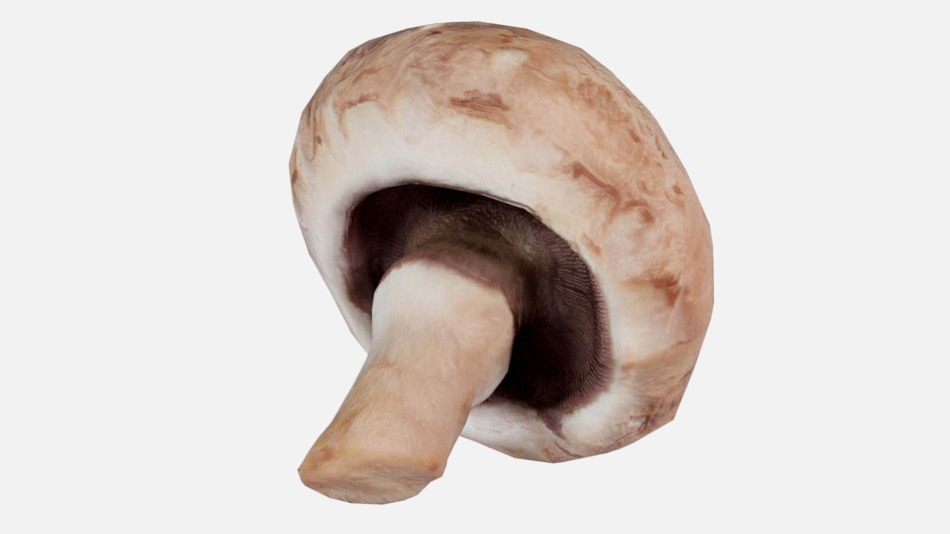 Champignon 1 - 3D Model by Polygonal Miniatures