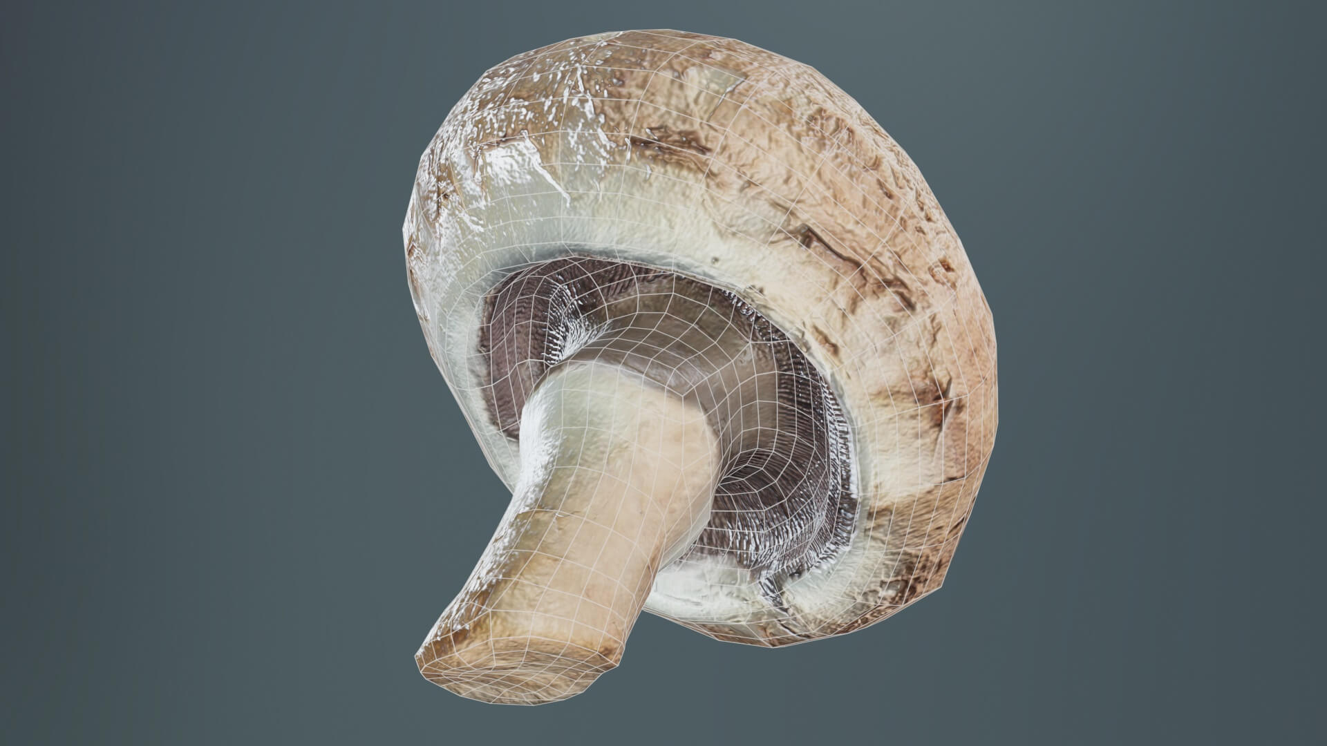 Champignon 1 - 3D Model by Polygonal Miniatures