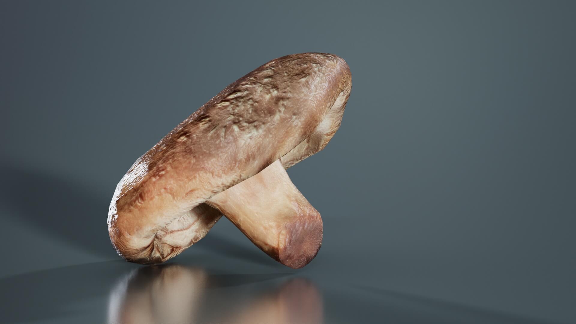 Champignon 2 - 3D Model by Polygonal Miniatures