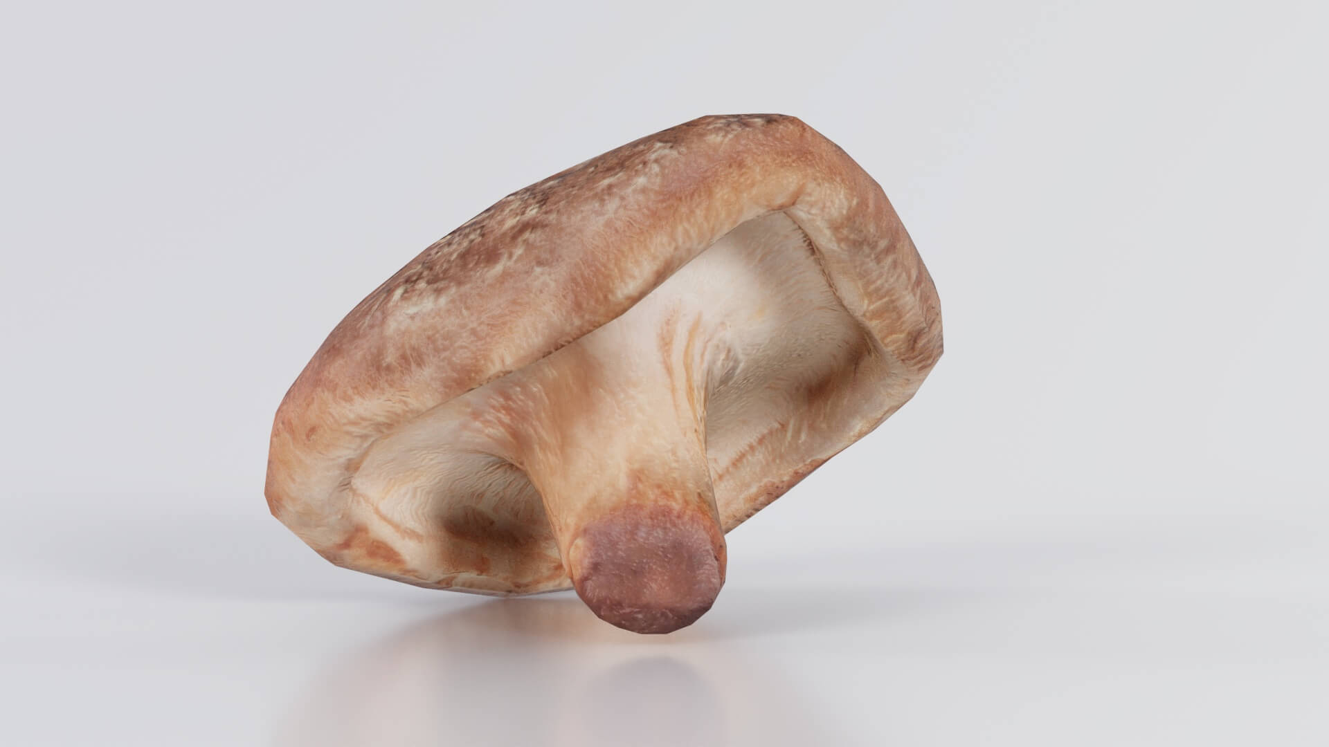 Champignon 2 - 3D Model by Polygonal Miniatures