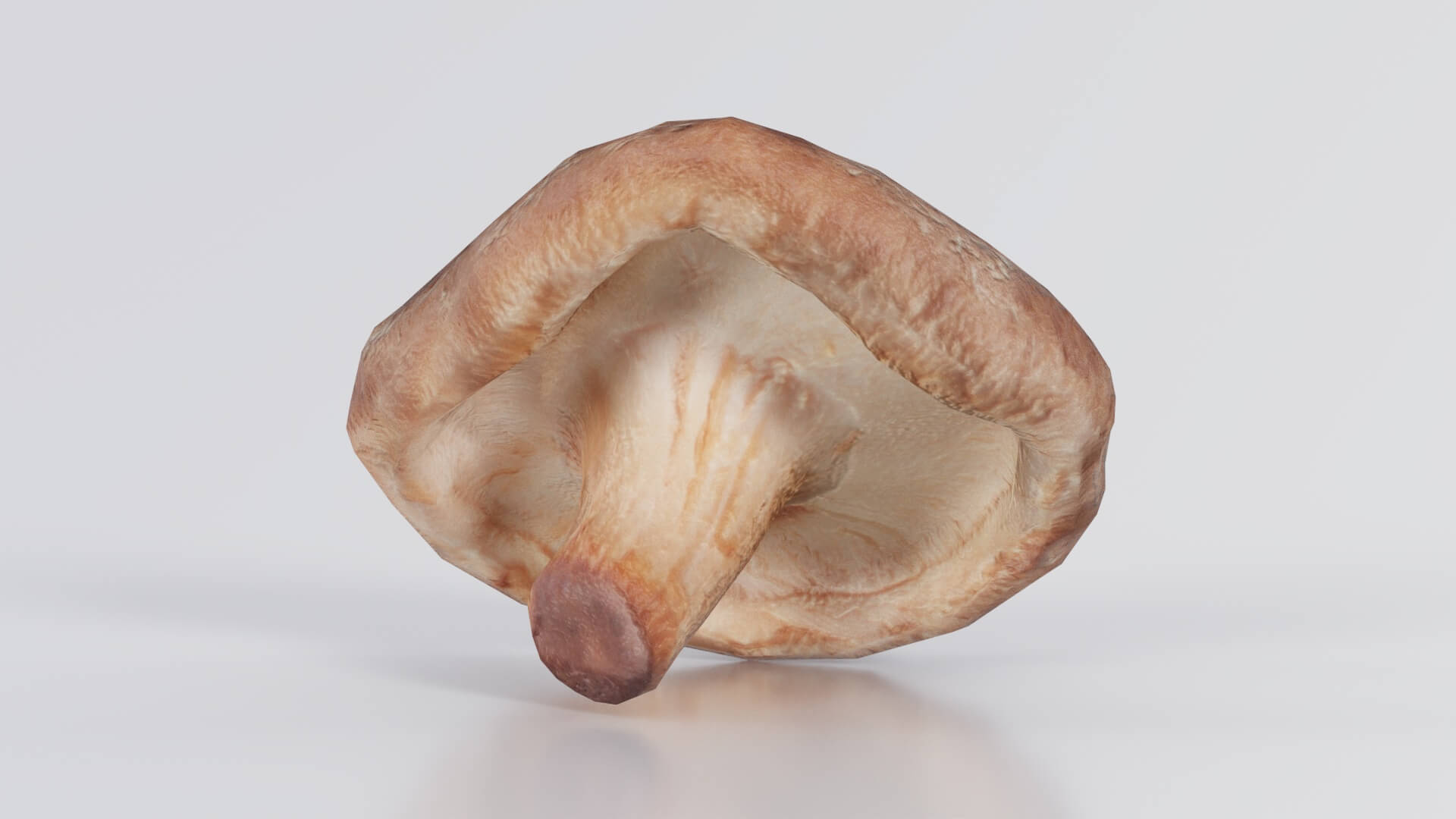 Champignon 2 - 3D Model by Polygonal Miniatures