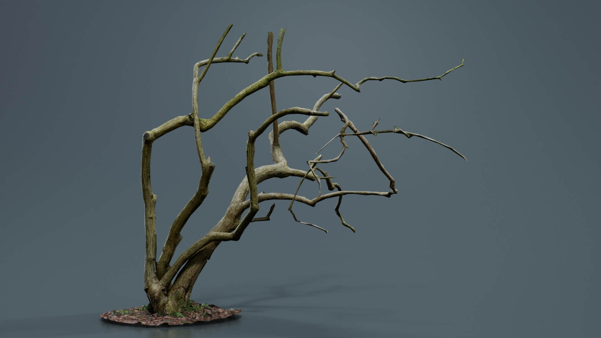 Cherry Tree Trunk - 3D Model by Polygonal Miniatures
