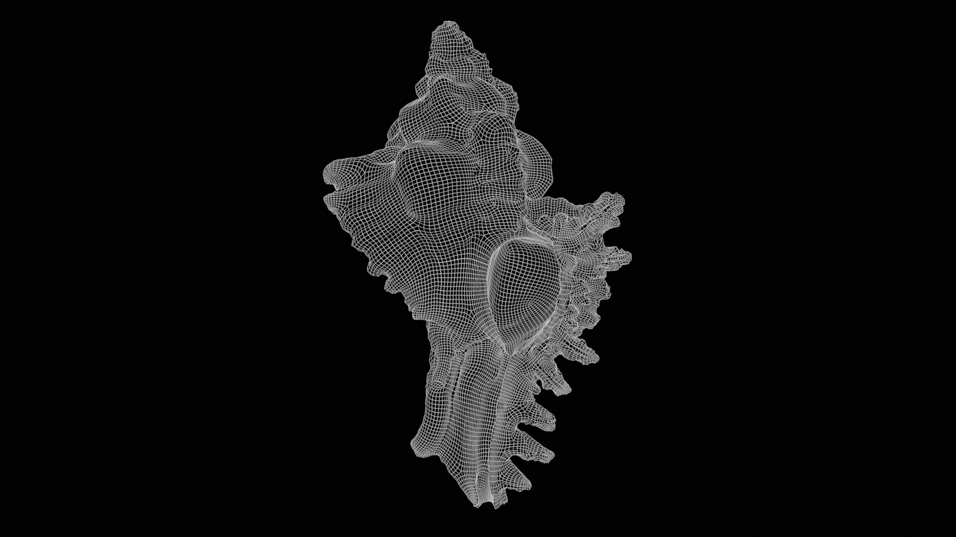 Chicoreus Banksii Brown Mollusk Sea Shell - 3D Model by Polygonal ...